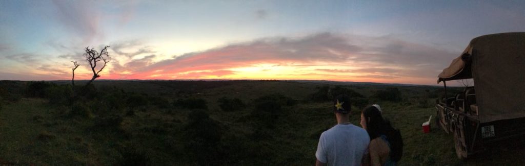 Guided Game Drives – Inkwenkwezi Private Game Reserve, Eastern Cape